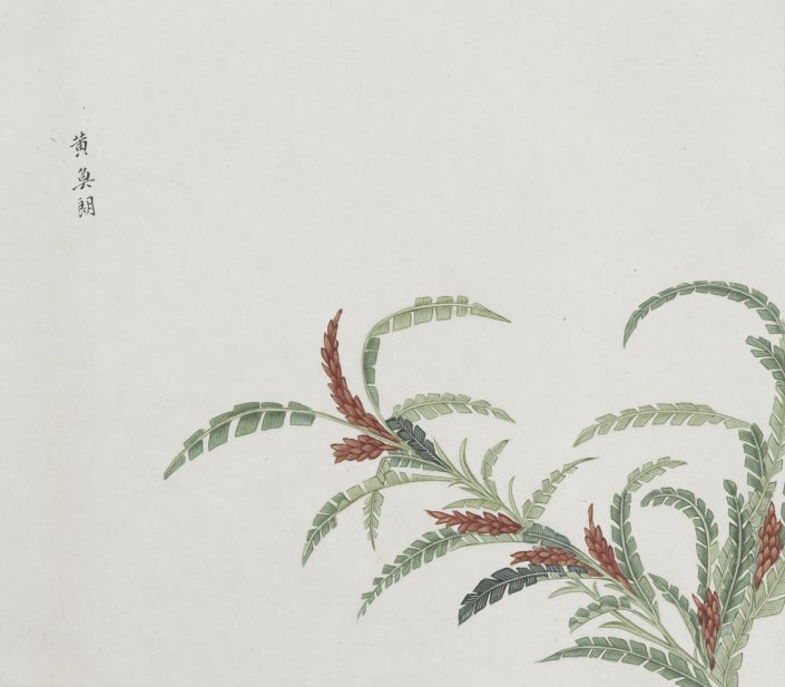 ge_yang_yao_cai_tu_ce10-705x617.jpg (705×617)-花瓣网